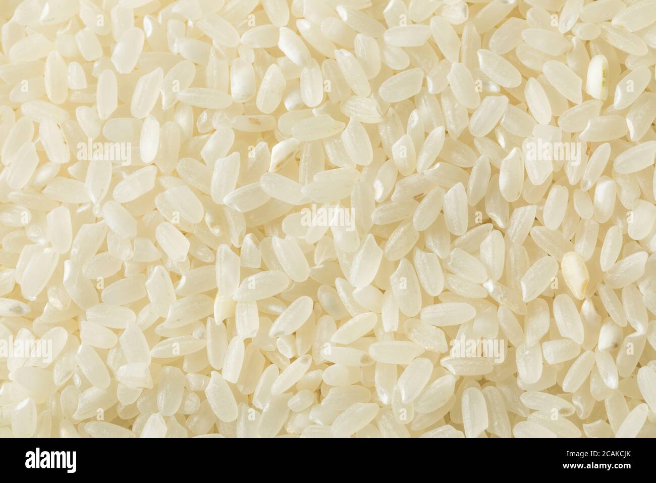 Raw Dry Organic Short Grain White Rice in a Bowl Stock Photo - Alamy