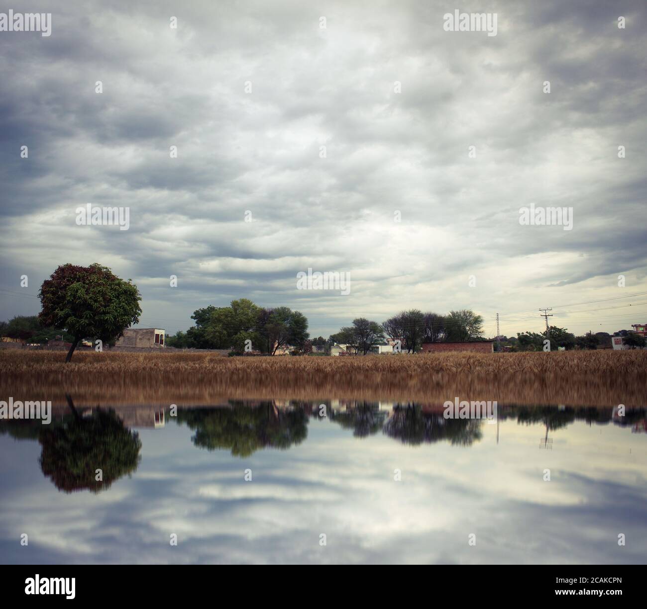 Landscape with trees and clouds with their reflection in the water ...