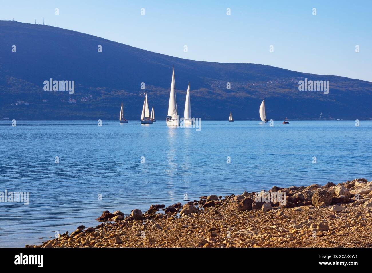 Tivat sailing boat hi-res stock photography and images - Alamy