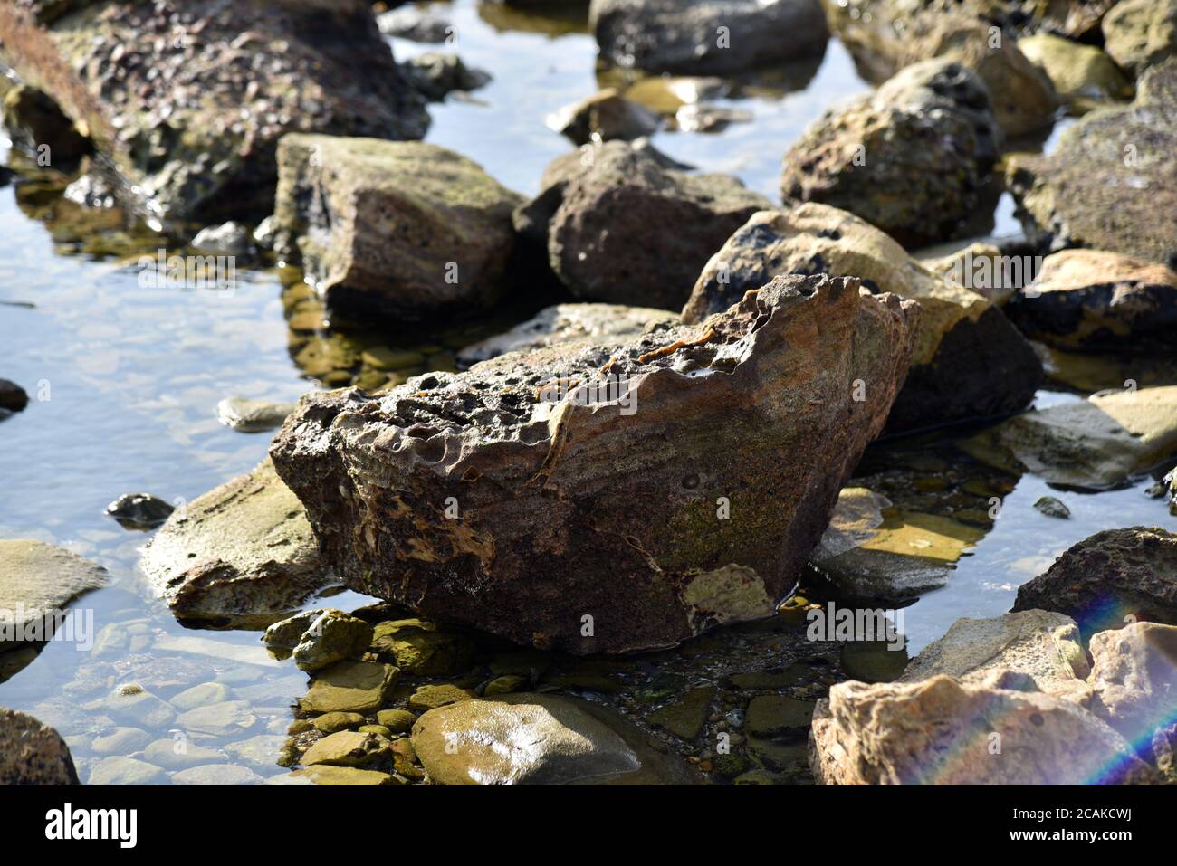 Tide Pool Rocks High Resolution Stock Photography and Images - Alamy