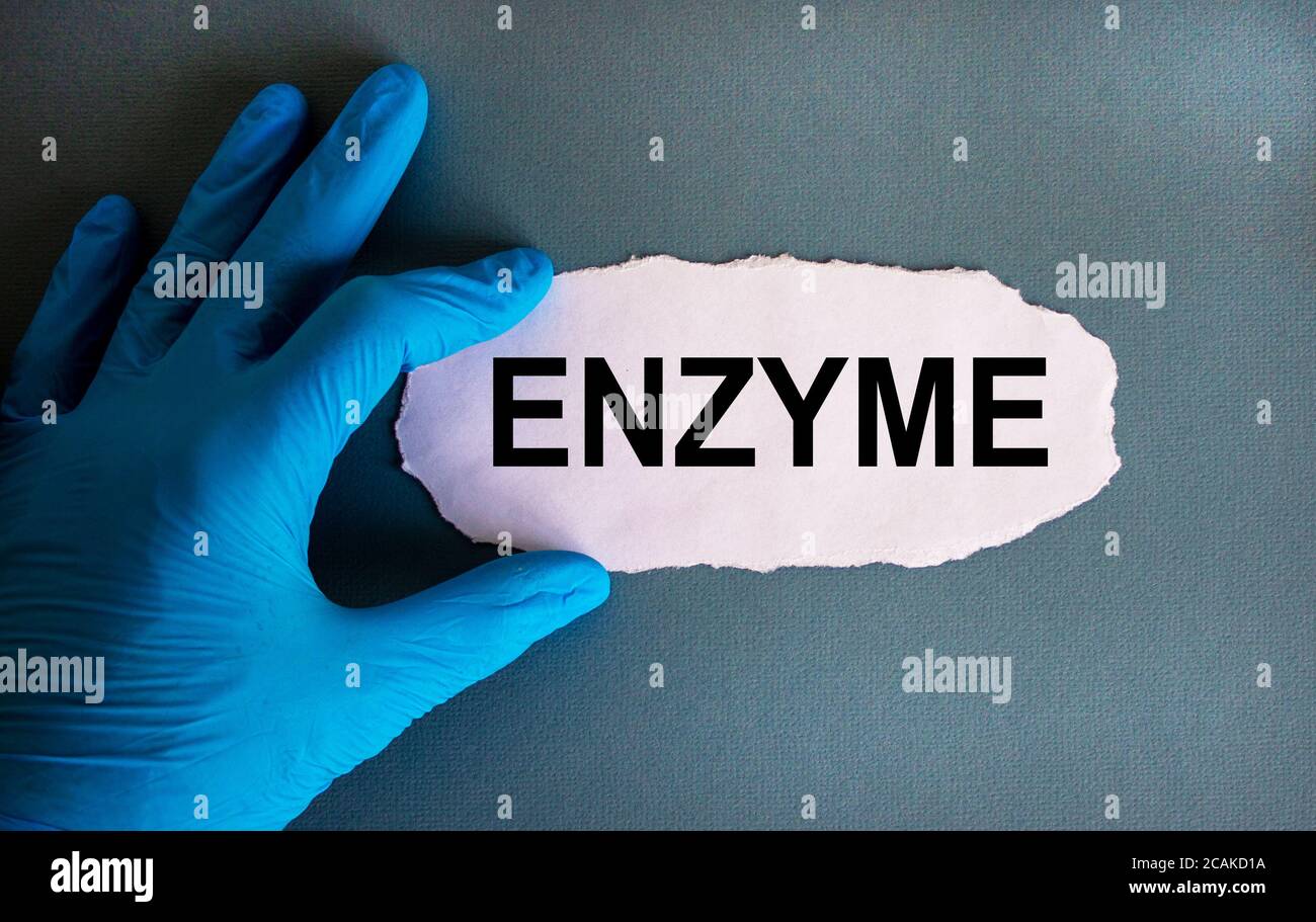 Hand in blue glove with white small paper. Concept word 'enzyme'. Blue ...
