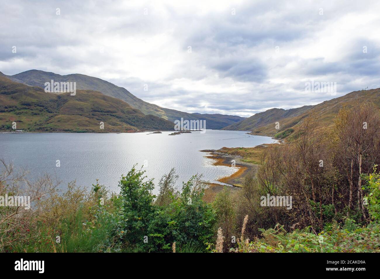 Beautiful scottish loch hi-res stock photography and images - Alamy