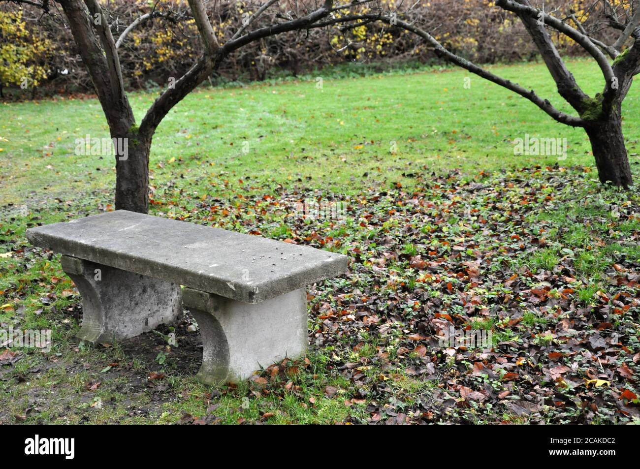 Stone bench in the park Stock Photo - Alamy