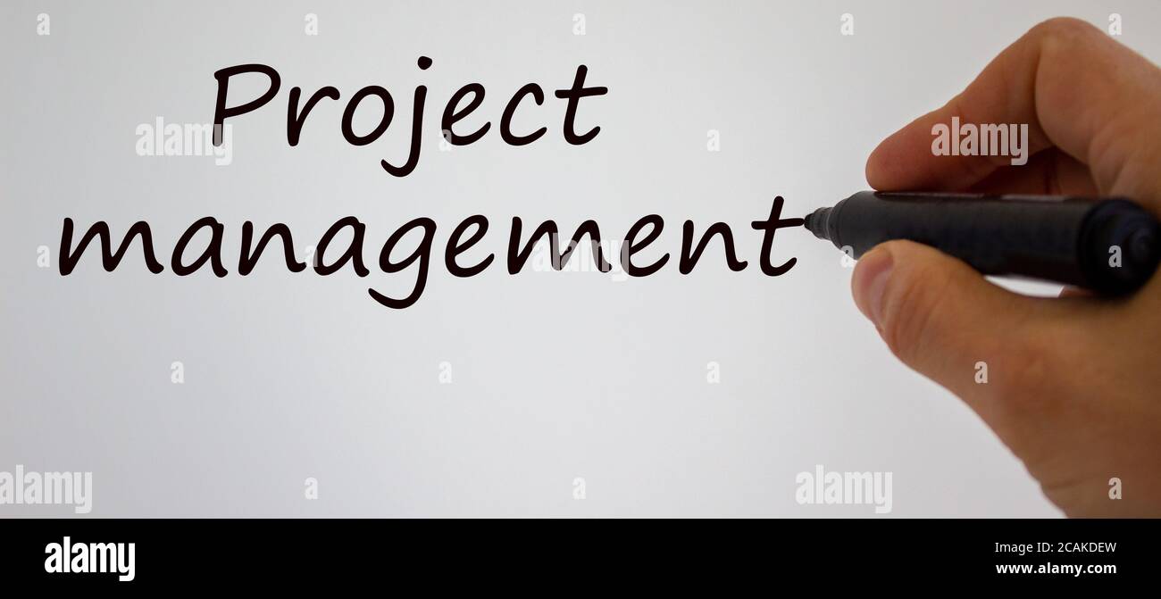 Hand writing 'project management', isolated on white background Stock ...