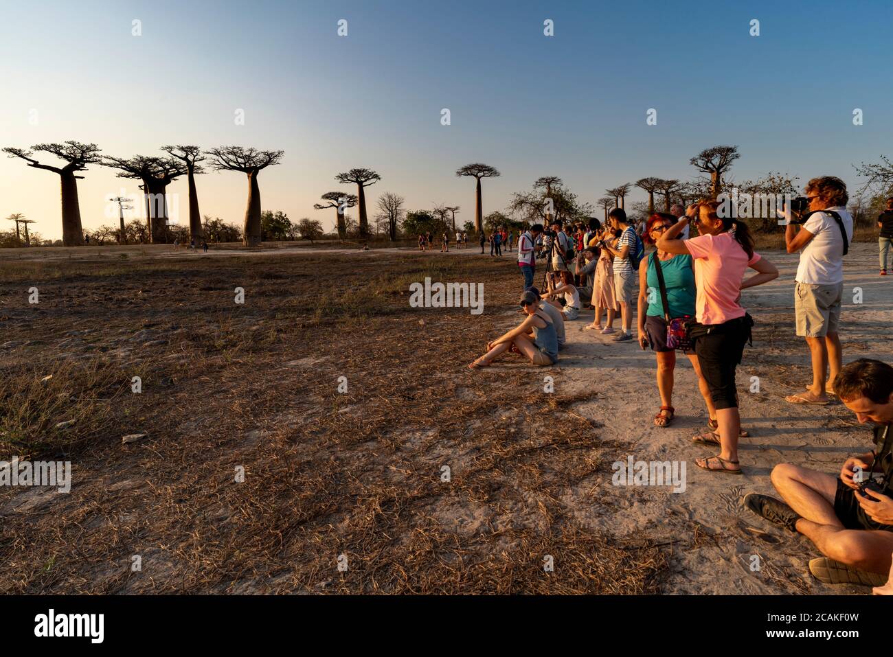 the most famous baobab alley in Madagascar (CTK Photo/Ondrej Zaruba ...