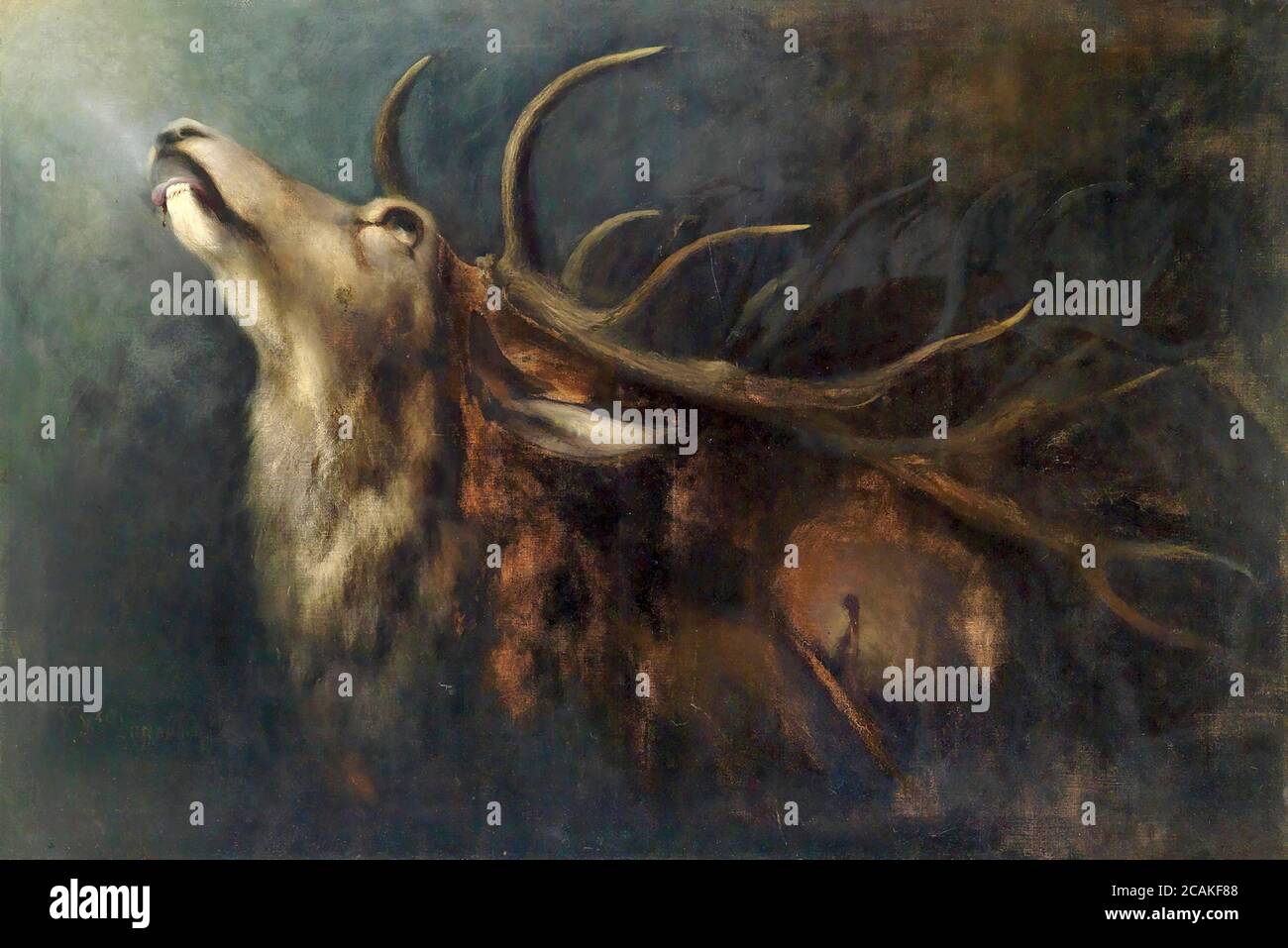 Wilhelm hirsch hi-res stock photography and images - Alamy