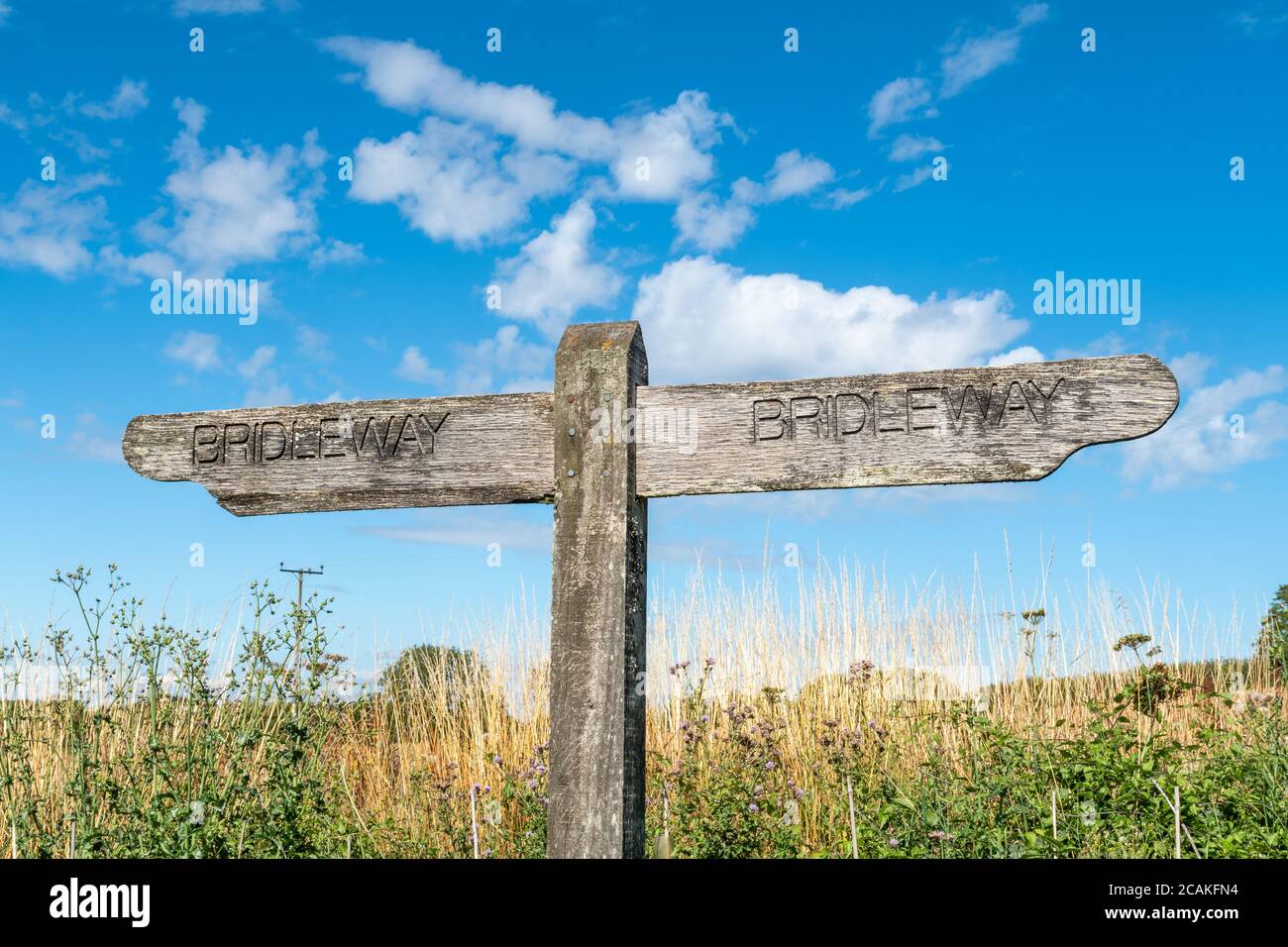 Wooden fingerpost sign or signpost pointing to a bridleway in the ...
