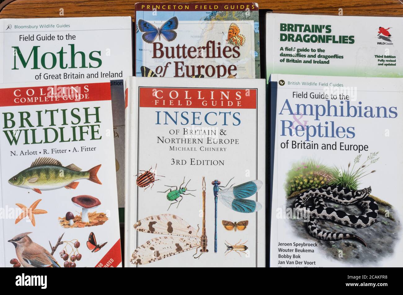 Wildlife books, field guides Stock Photo - Alamy