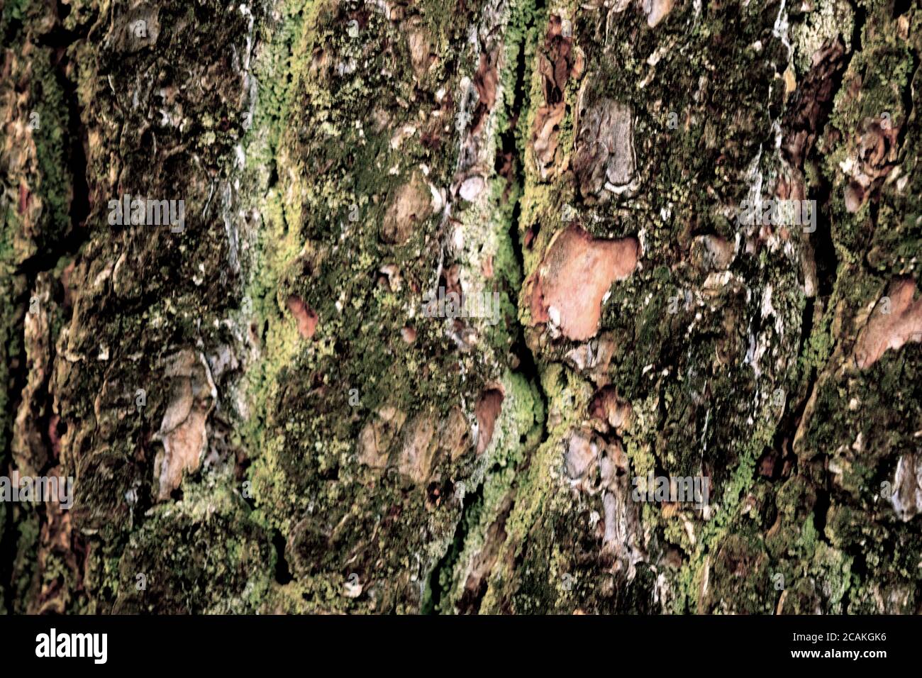 Rips pattern hi-res stock photography and images - Alamy