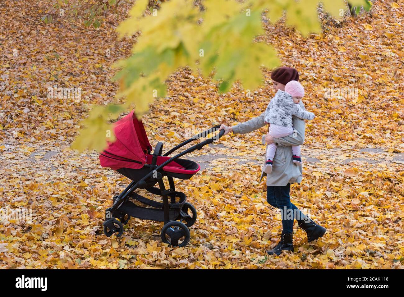 Mother and baby walking in autumn forest with pram. Mom and cute baby ...