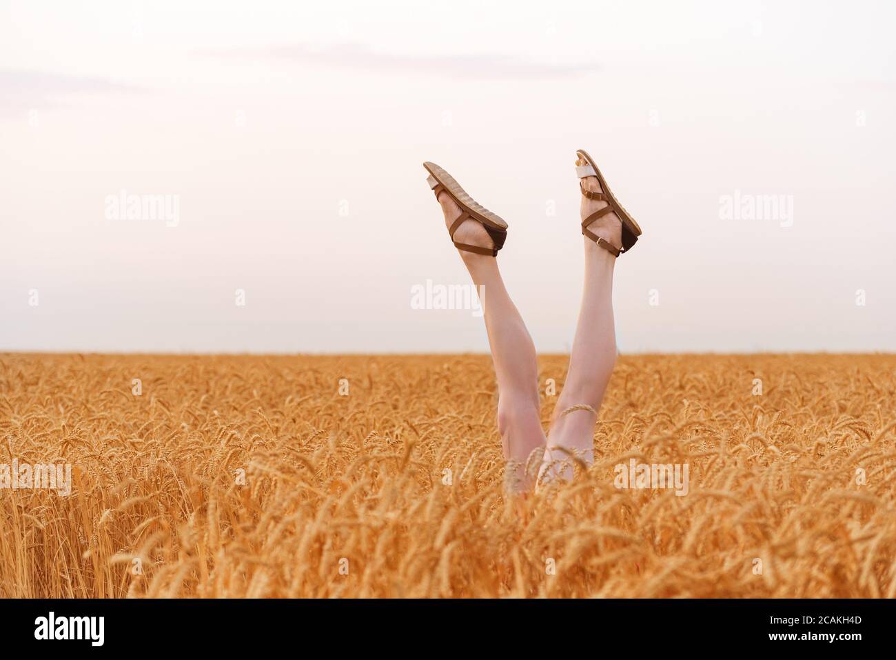 Feet in sandals upwards. Baby legs on sky background. Wheat field and ...