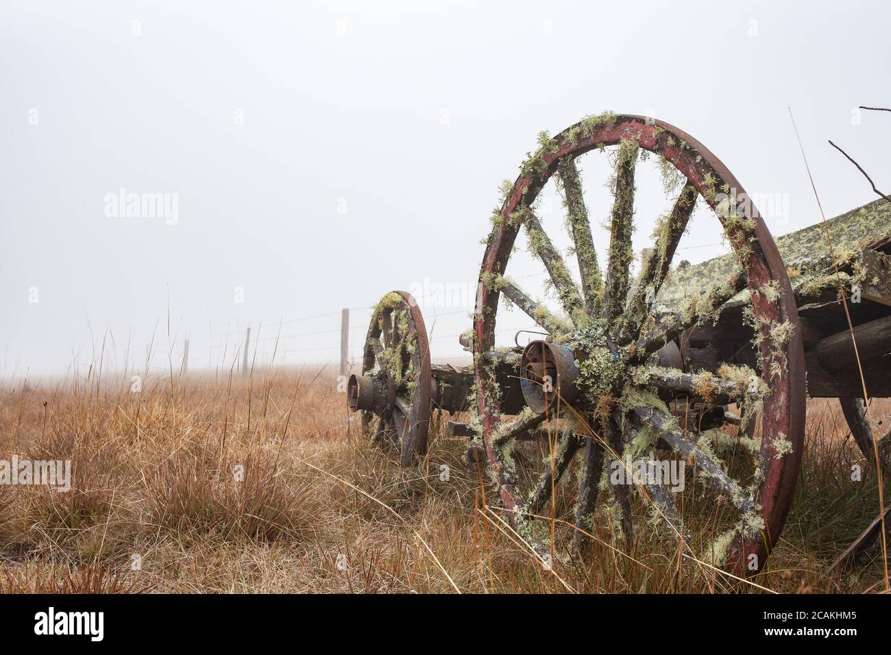 Old wheel of a vintage cart pulled by horses Stock Photo - Alamy