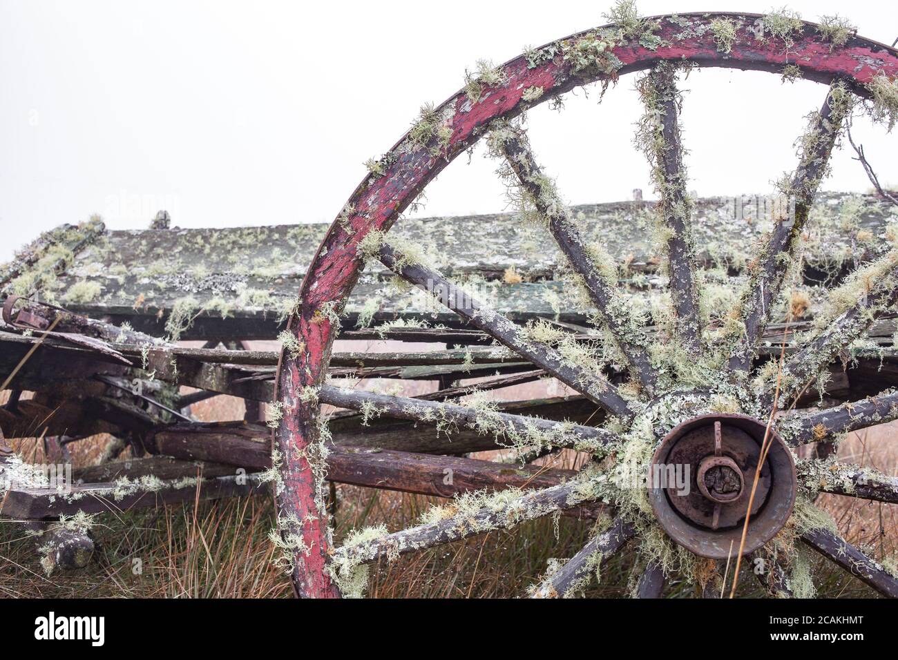 Old wheel of a vintage cart pulled by horses Stock Photo - Alamy
