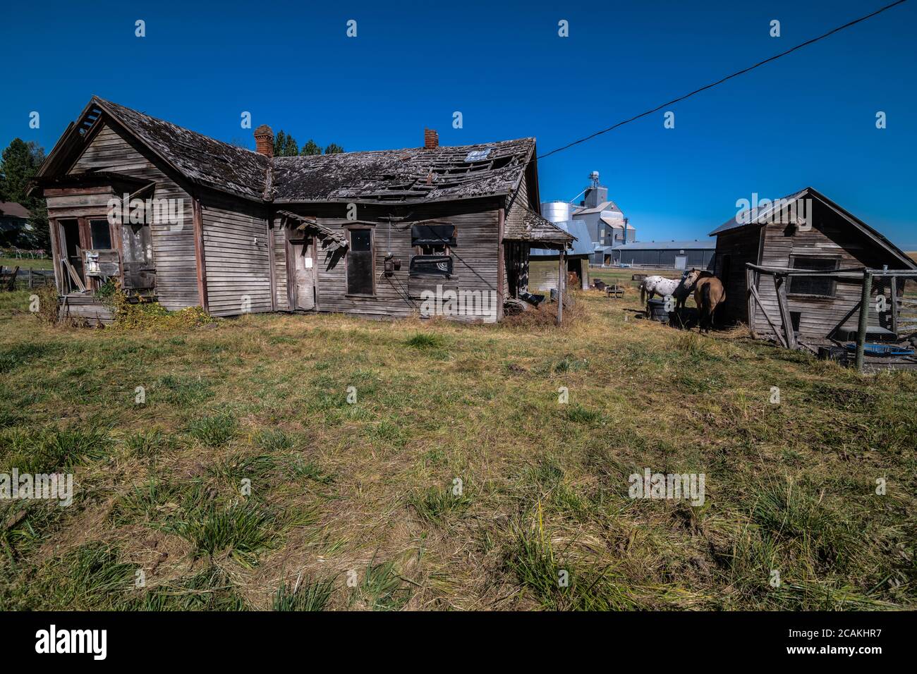 Spring wood and farmhouse hi-res stock photography and images - Alamy