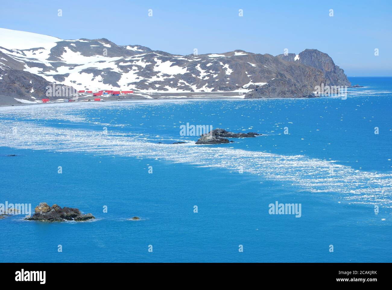Wildlife photography antarctica hi-res stock photography and images - Alamy