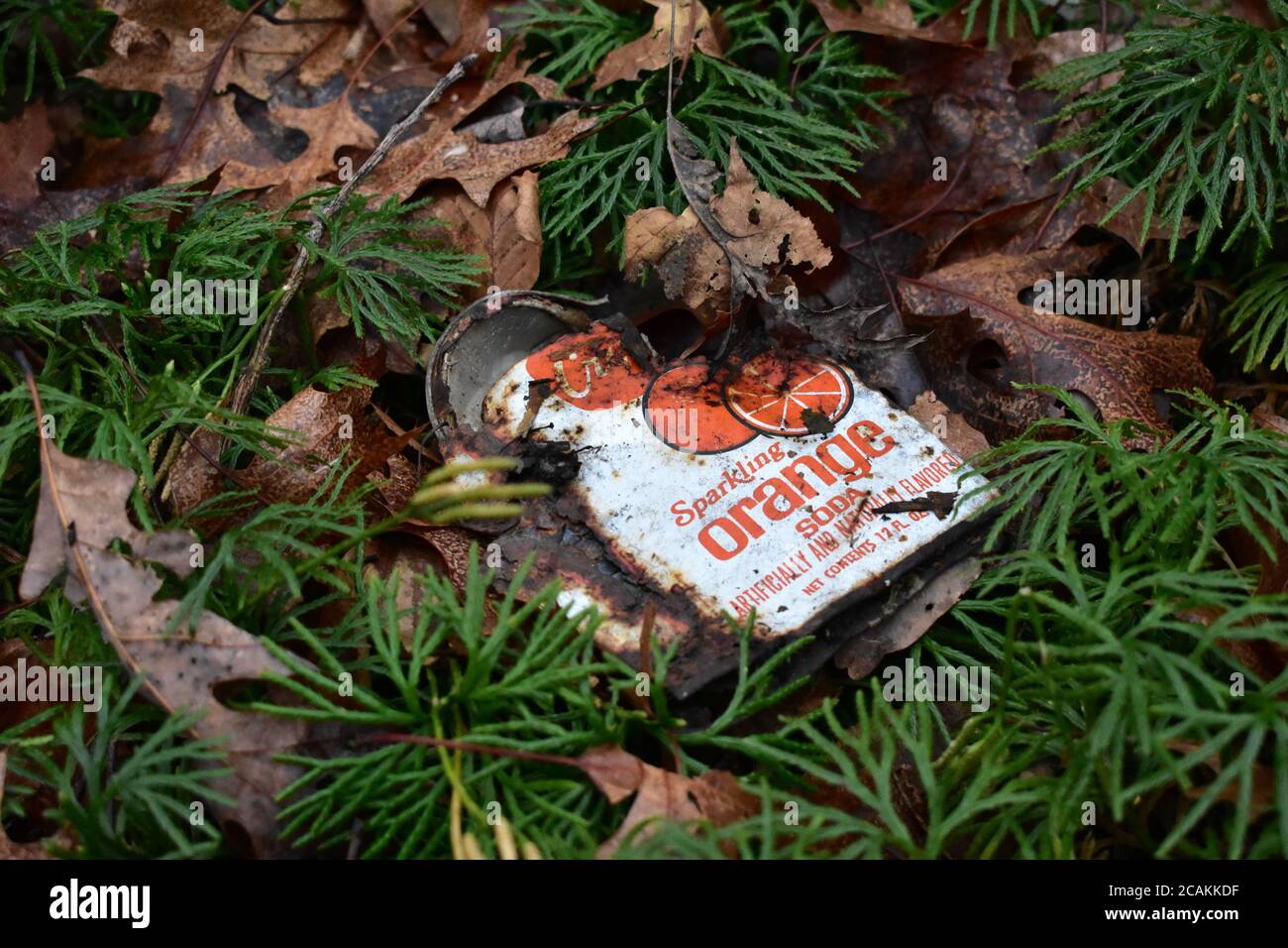 A Crumped and Rusty Vintage Can of Orange Soda Stock Photo - Alamy