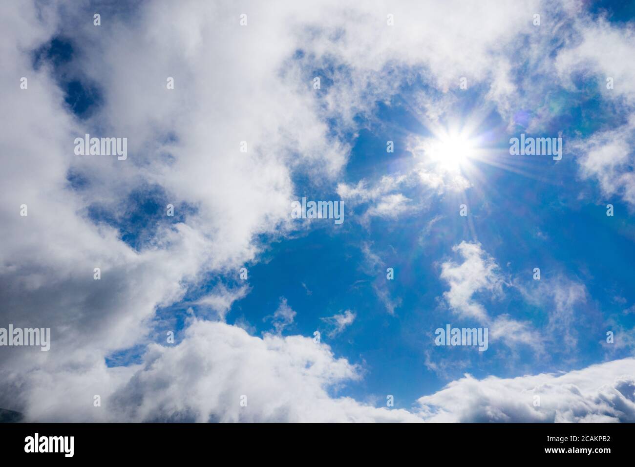 Pelium hi-res stock photography and images - Alamy