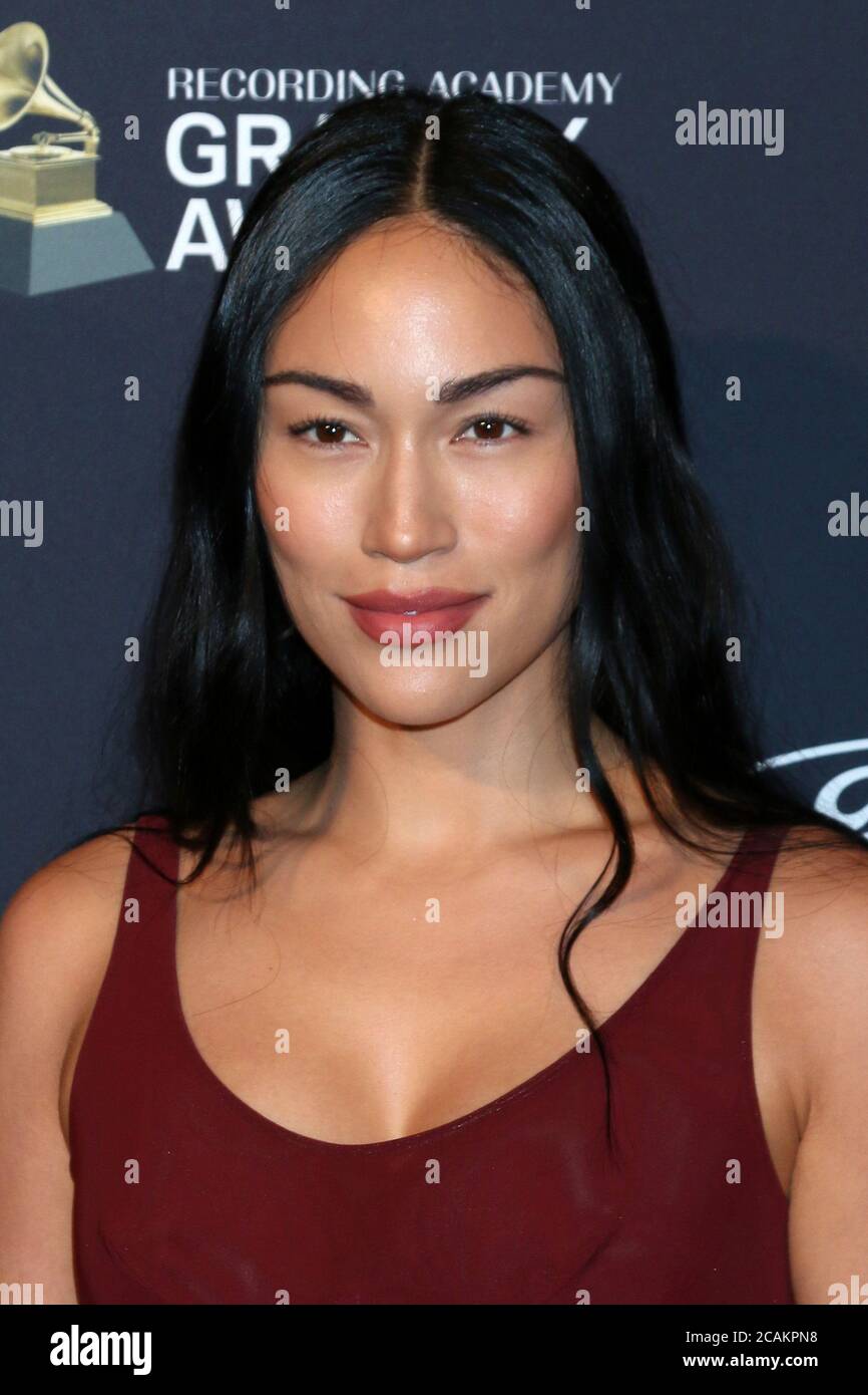 LOS ANGELES - JAN 25: Stephanie Shepard at the Clive Davis Pre-GRAMMY ...