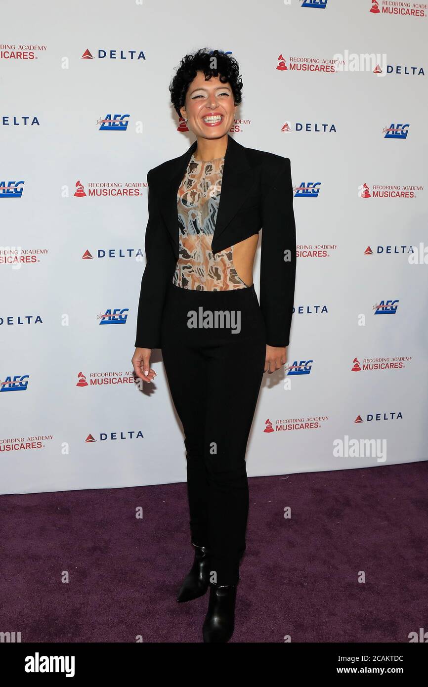 LOS ANGELES - JAN 24: Emily King at the 2020 Muiscares at the Los ...