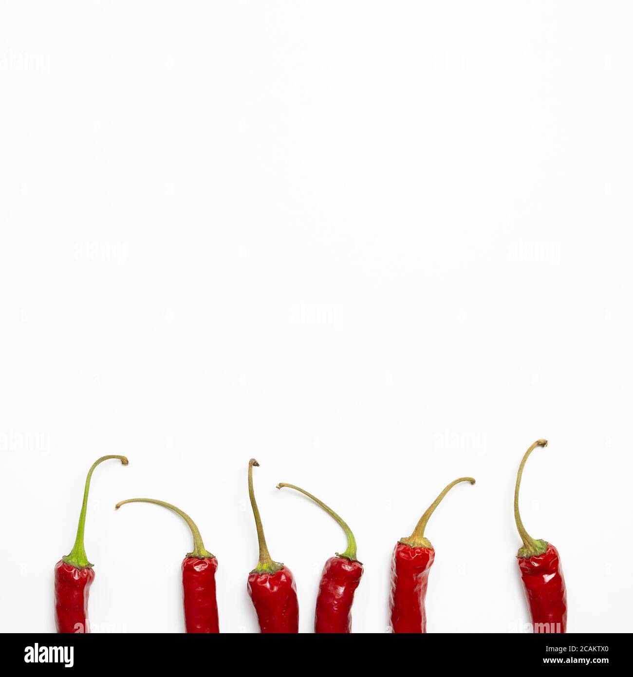 Red hot chilli peppers on white background. flat lay, top view Stock ...
