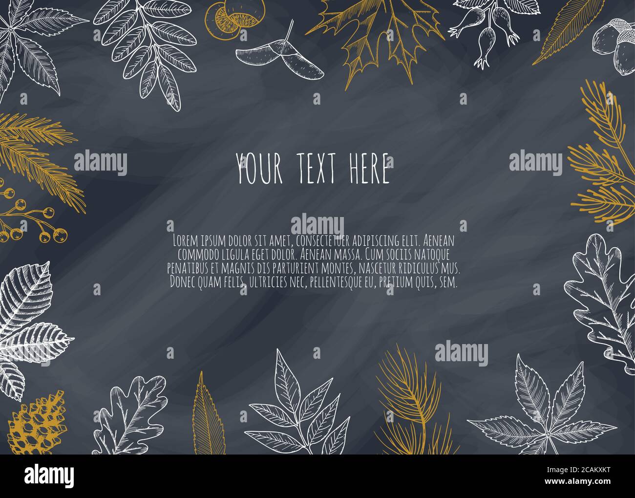Background with Autumn Leaves . Drawing hand image, vector illustration ...