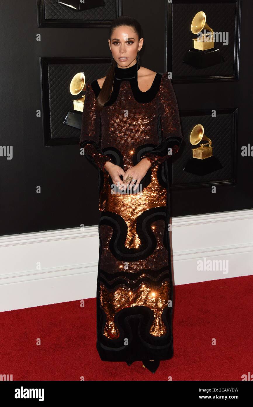 LOS ANGELES - JAN 26: Ali Tamposi at the 62nd Grammy Awards at the ...
