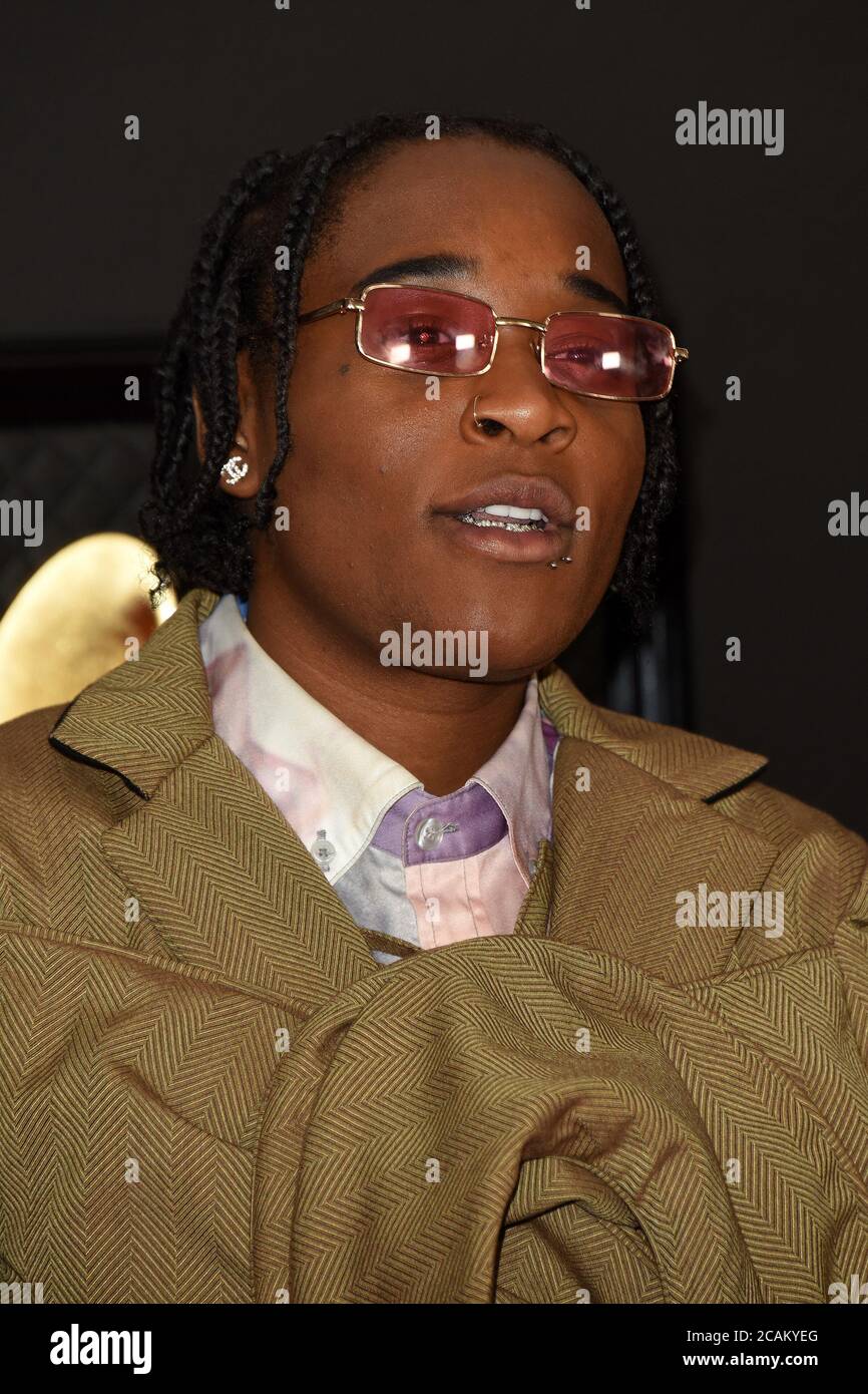 LOS ANGELES - JAN 26: Jozzy at the 62nd Grammy Awards at the Staples ...