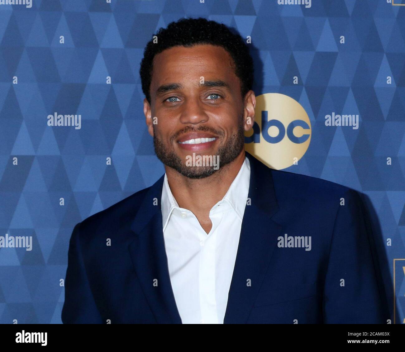 LOS ANGELES - JAN 8: Michael Ealy at the ABC Winter TCA Party Arrivals ...