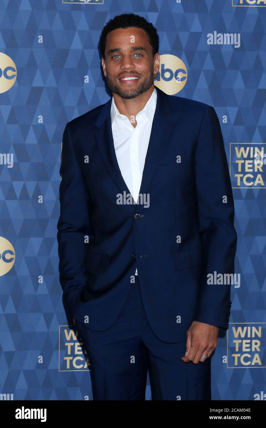LOS ANGELES - JAN 8: Michael Ealy at the ABC Winter TCA Party Arrivals ...