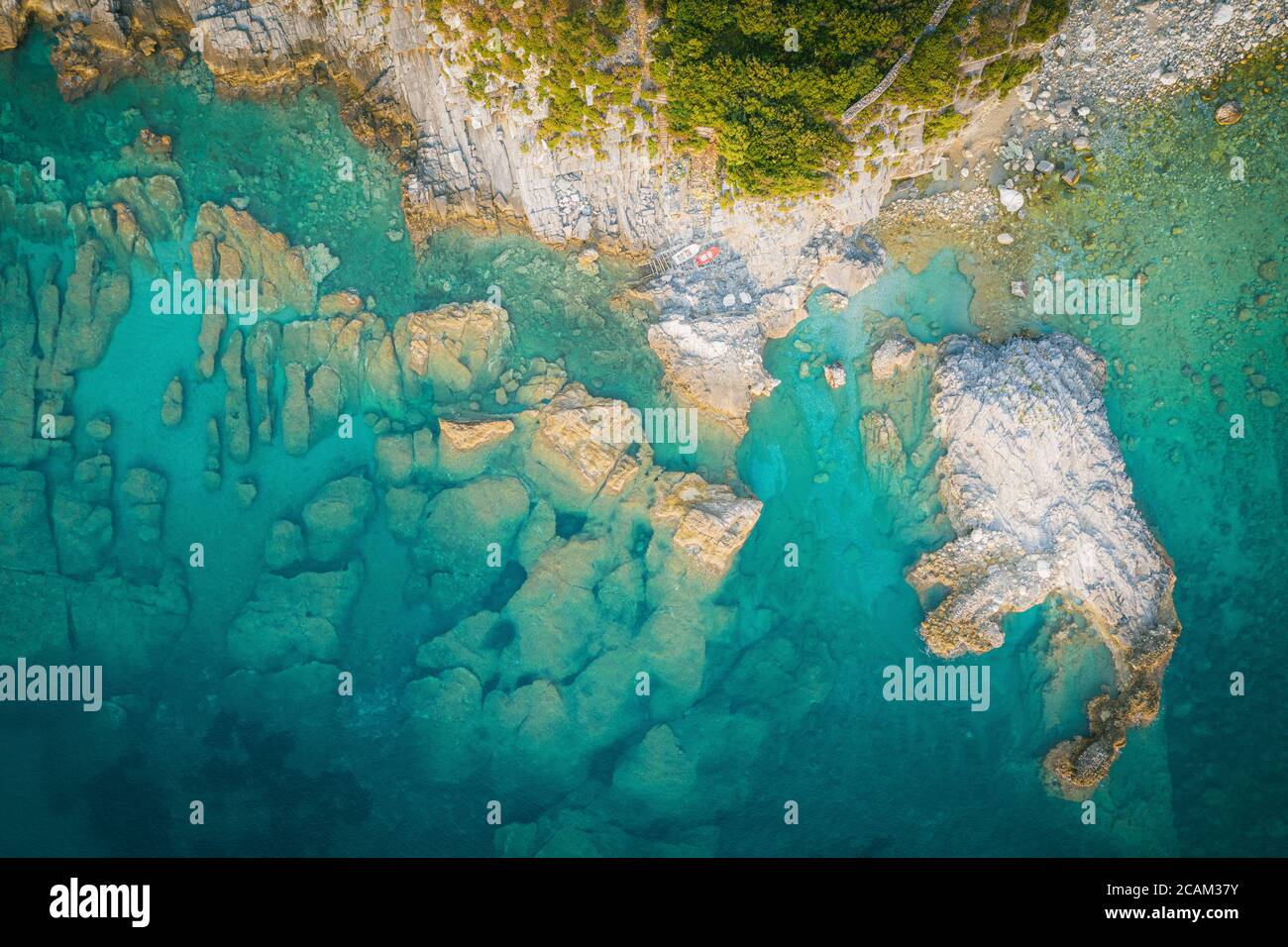 Pelion pelium hi-res stock photography and images - Alamy