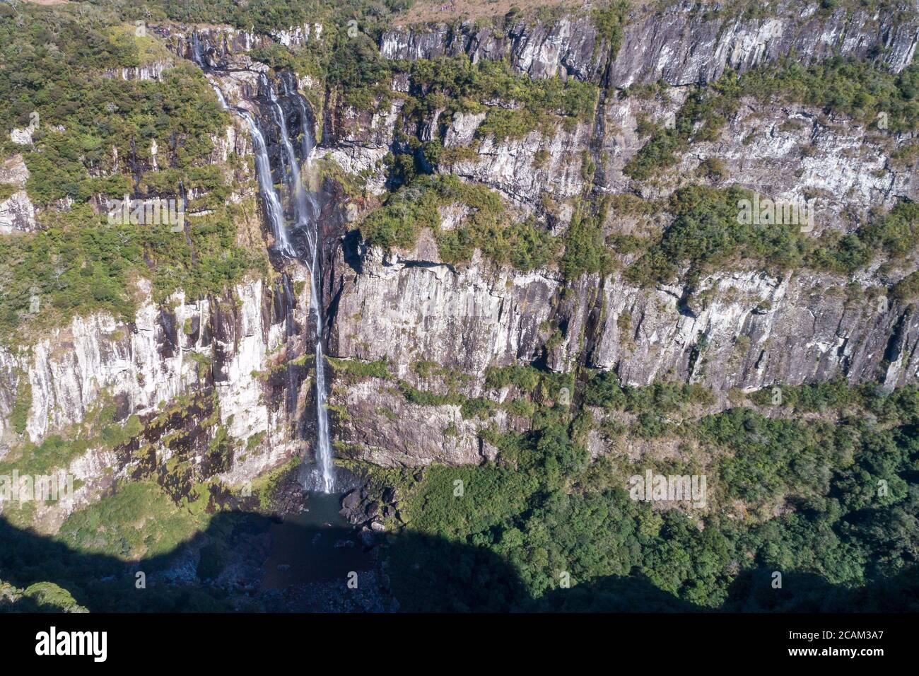 Tigre grande hi-res stock photography and images - Alamy