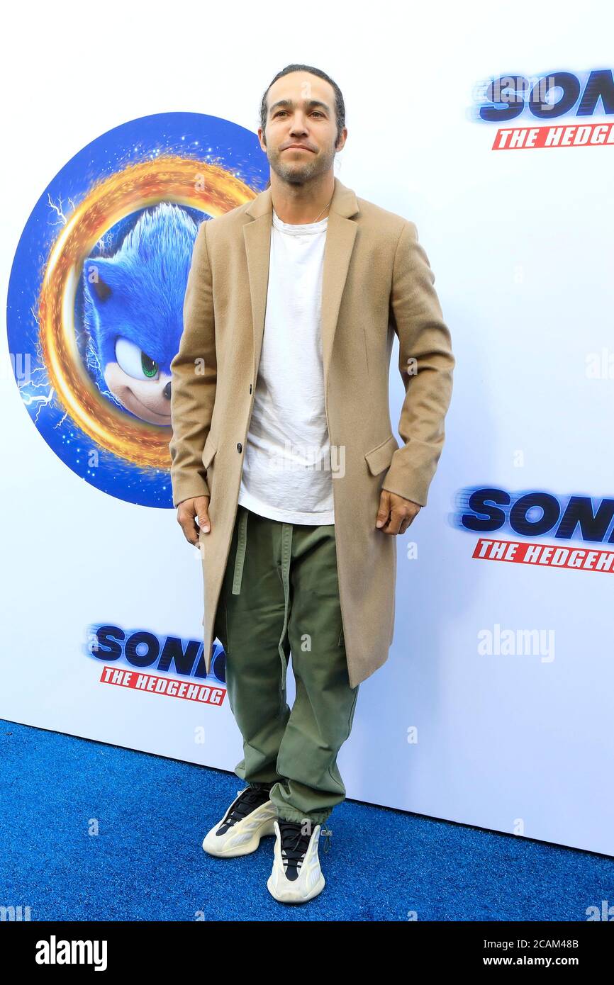 LOS ANGELES - JAN 25: Pete Wentz at the Sonic The Hedgehog Family Day ...