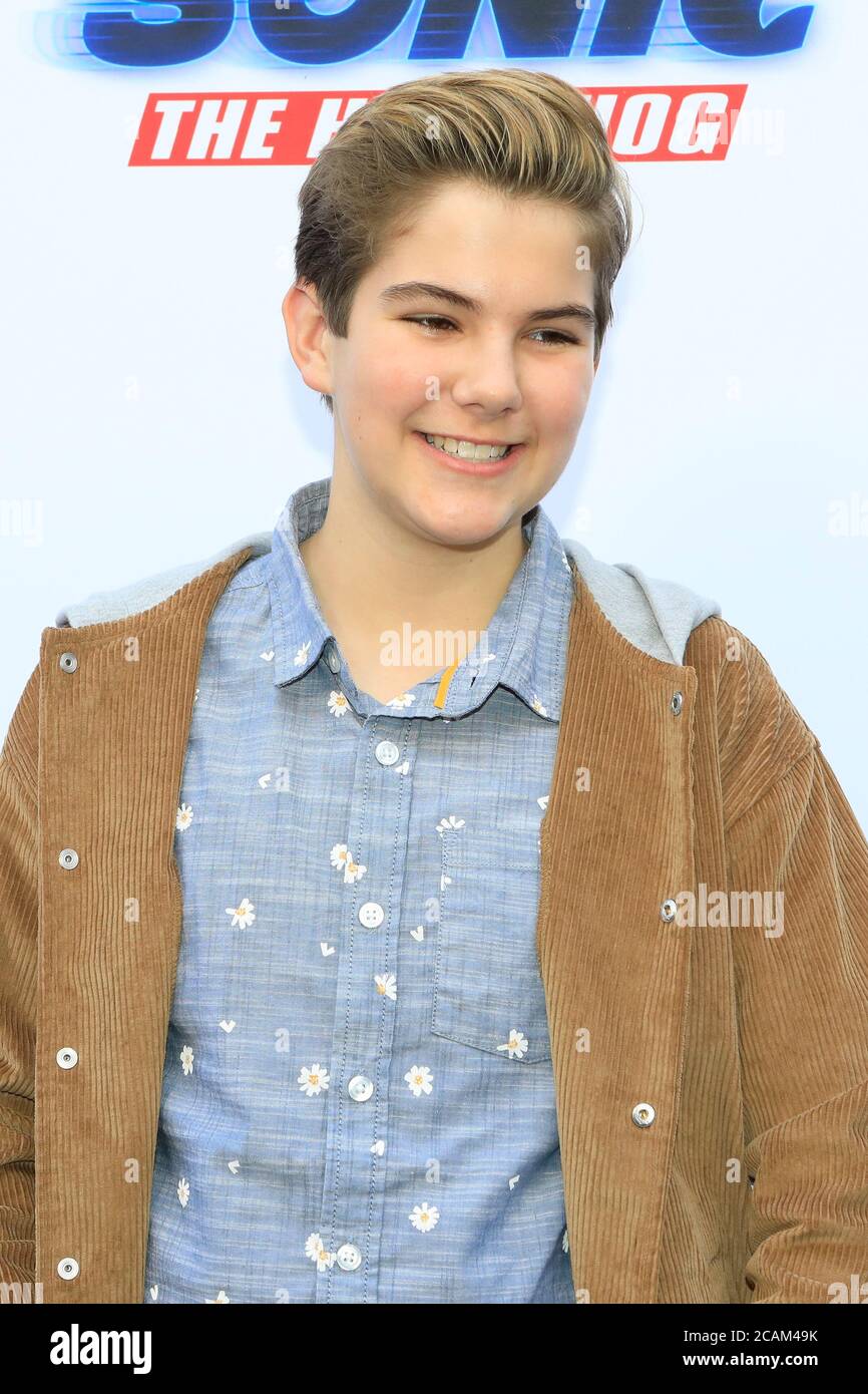 LOS ANGELES - JAN 25: Declan Chambers at the Sonic The Hedgehog Family ...