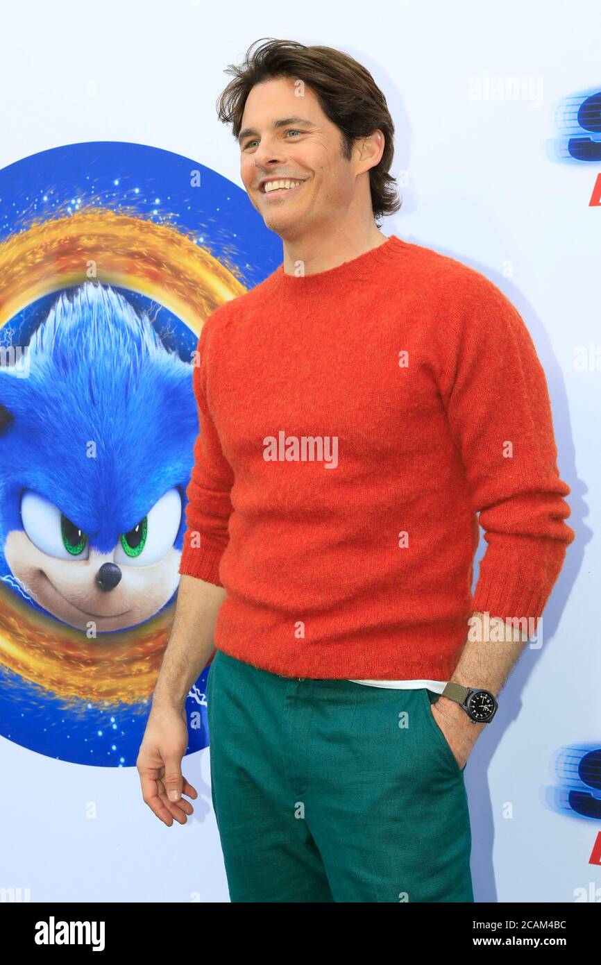 LOS ANGELES - JAN 25: James Marsden at the Sonic The Hedgehog Family ...