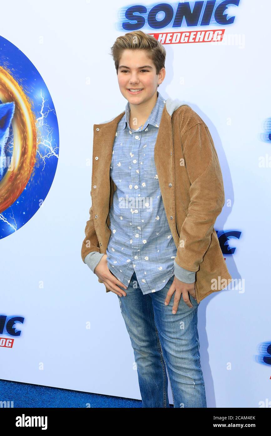 LOS ANGELES - JAN 25: Declan Chambers at the Sonic The Hedgehog Family ...