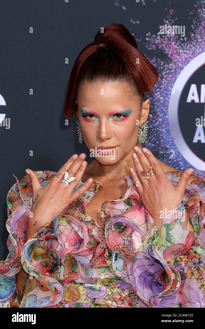 LOS ANGELES - NOV 24: Halsey at the 47th American Music Awards ...