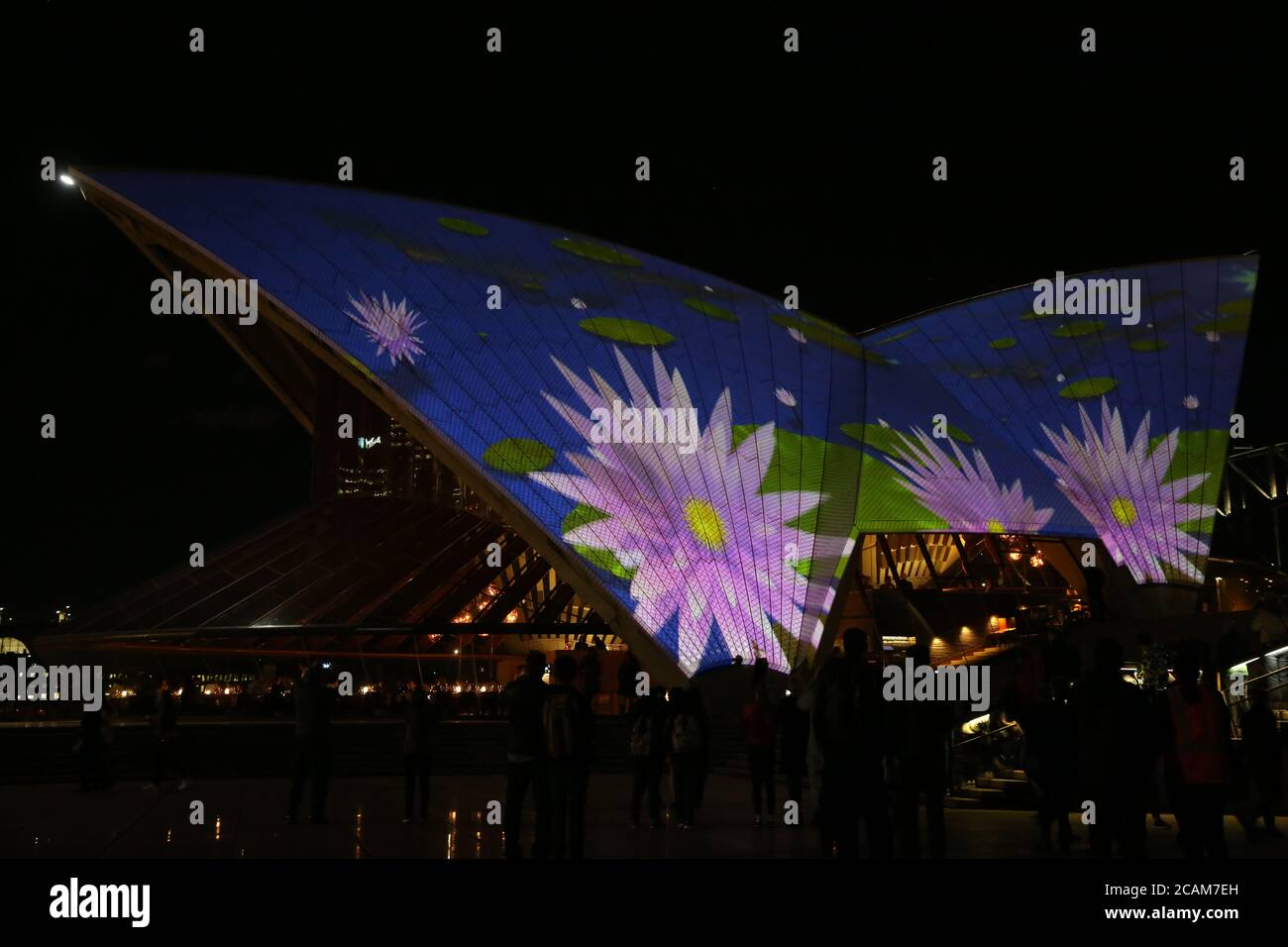 The ‘Badu Gili’ (Water Light, in Gadigal language) is a 7-minute ...