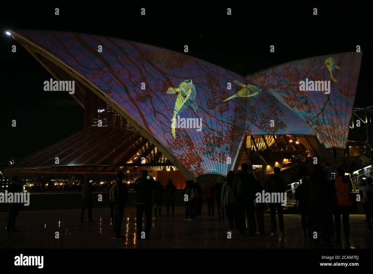 The ‘Badu Gili’ (Water Light, in Gadigal language) is a 7-minute ...