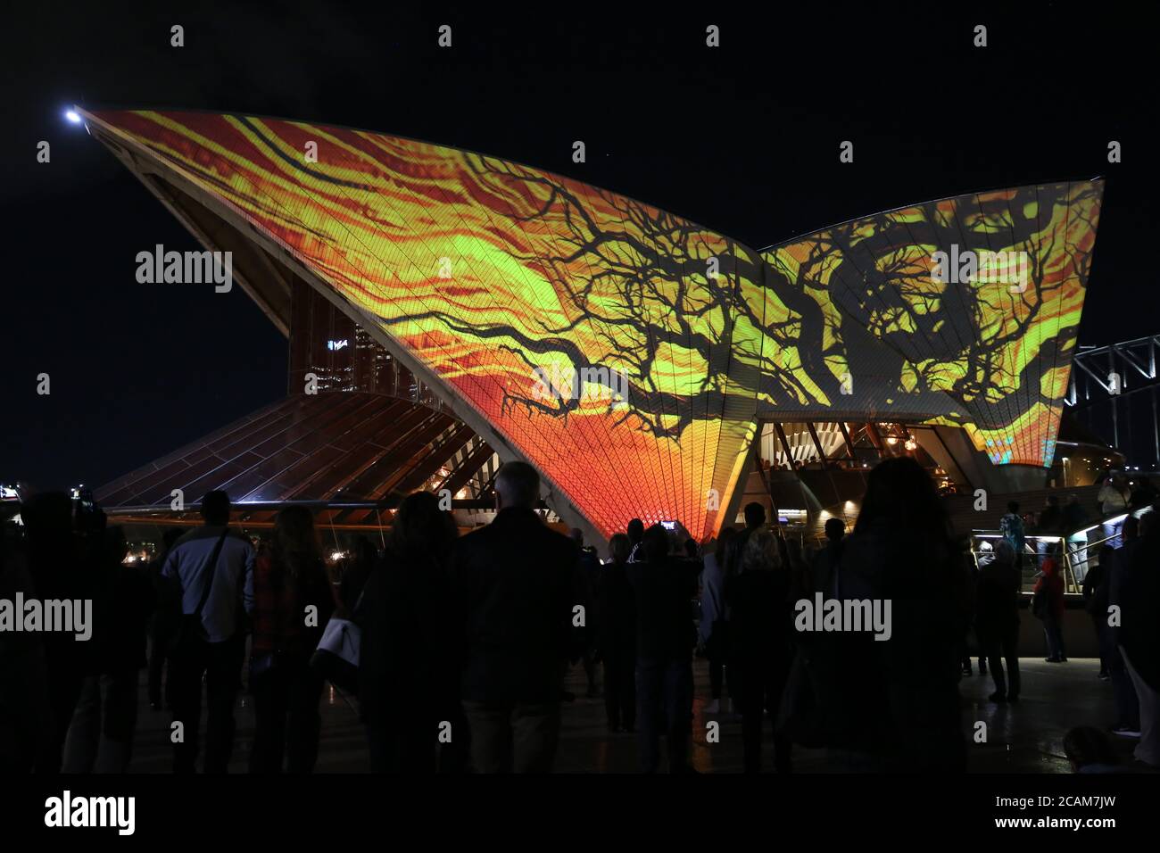 The ‘Badu Gili’ (Water Light, in Gadigal language) is a 7-minute ...