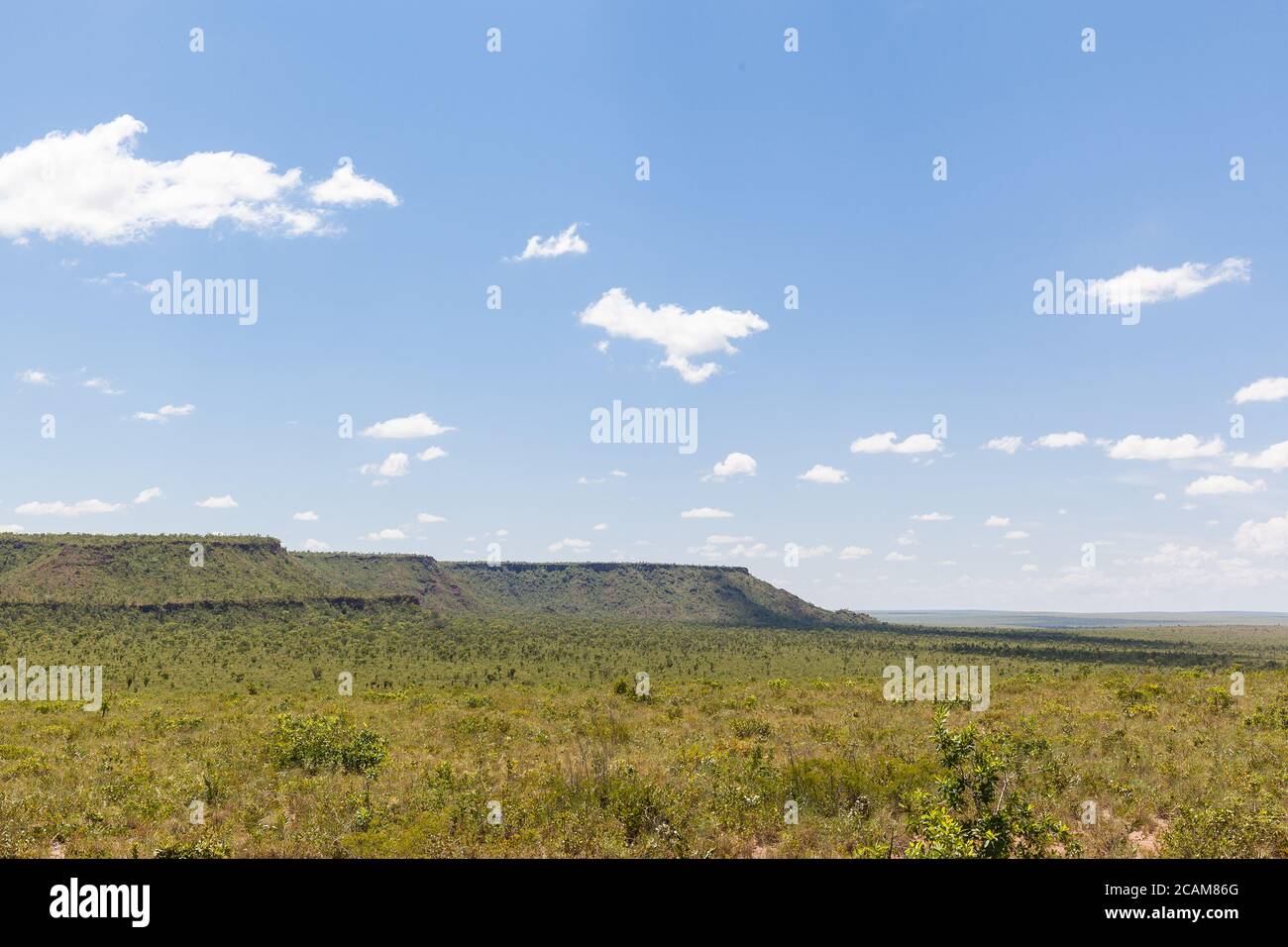 Big cerrado hi-res stock photography and images - Alamy