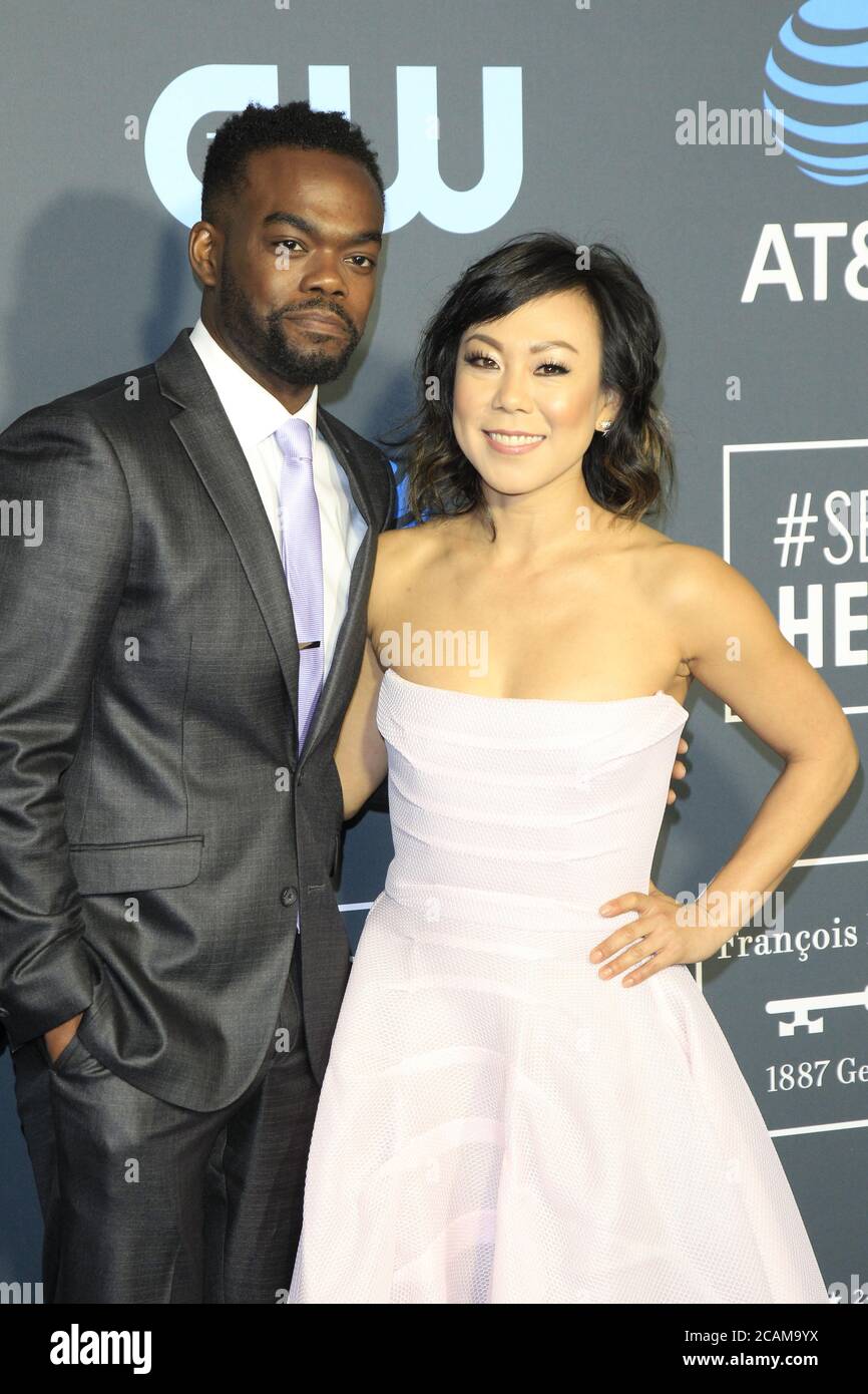 LOS ANGELES - JAN 13: William Jackson Harper, Ali Ahn at the Critics ...