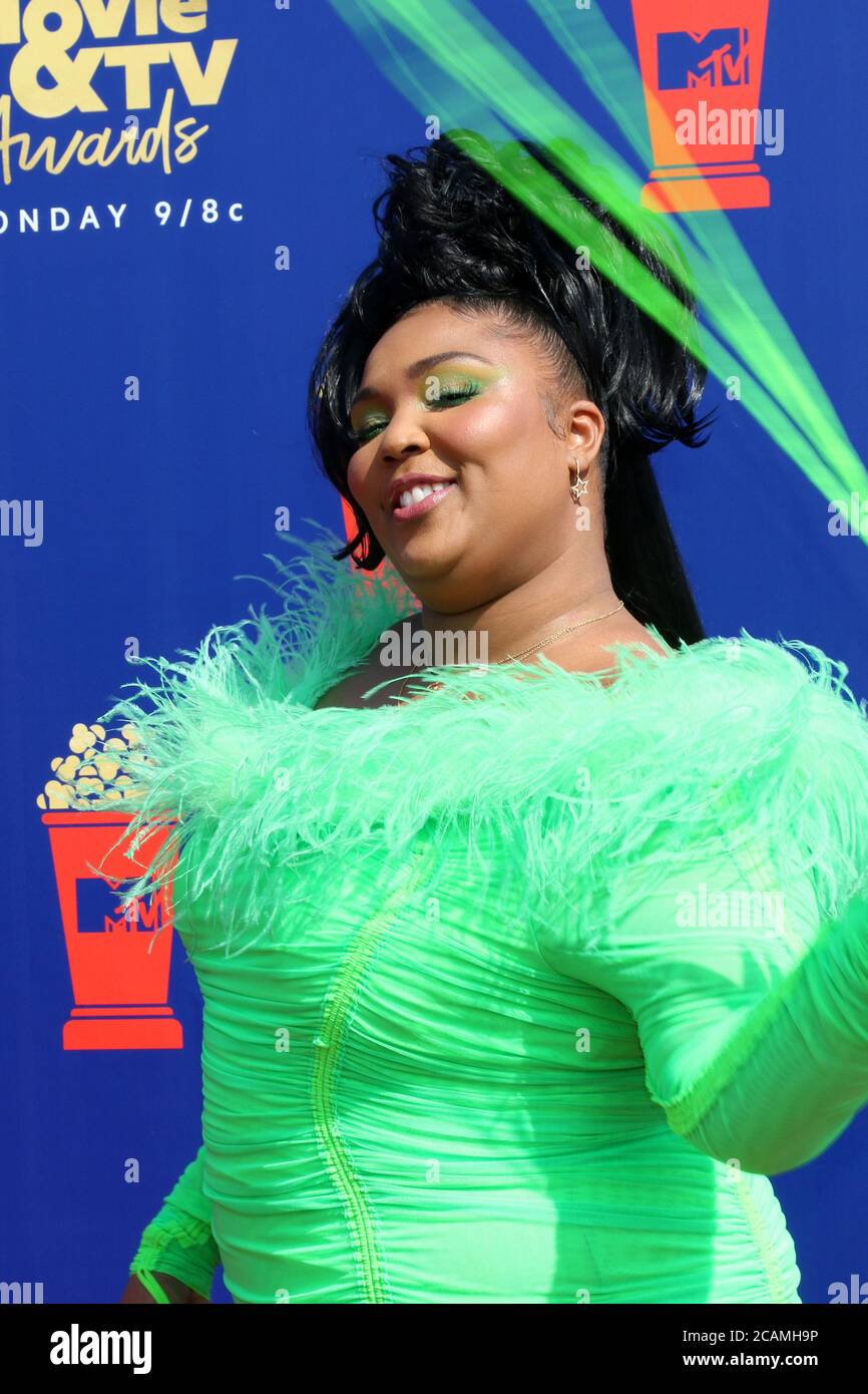 LOS ANGELES - JUN 15: Lizzo, Melissa Viviane Jefferson at the 2019 MTV ...