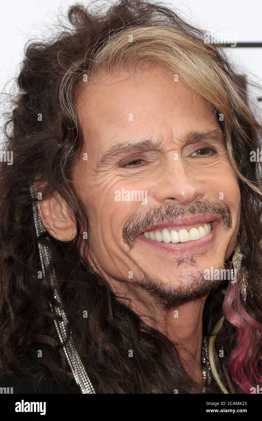 LOS ANGELES - FEB 10: Steven Tyler at the 2019 Steven Tyler's Grammy ...
