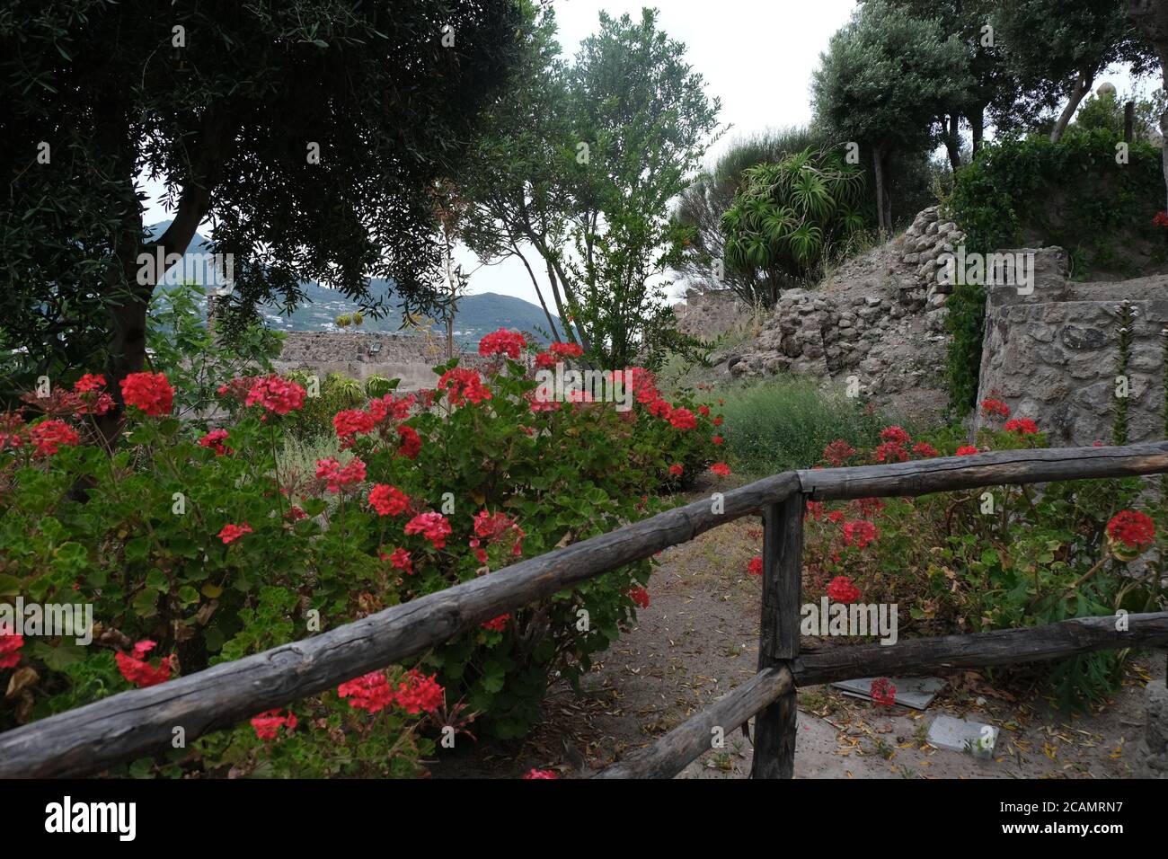 Ischia Aragon Castle Red Flowers Stock Photo - Alamy