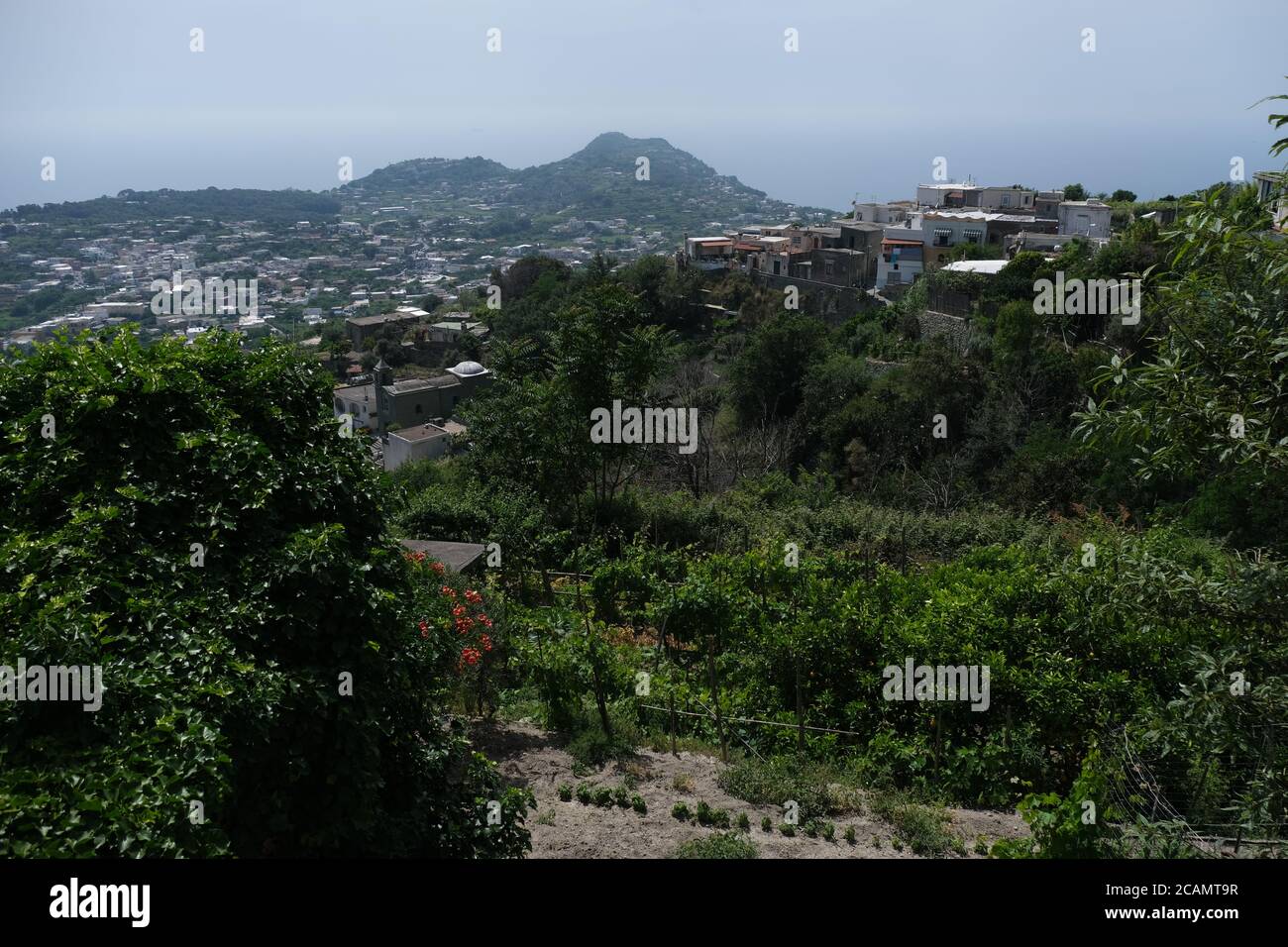 Ischia Central Island Stock Photo - Alamy