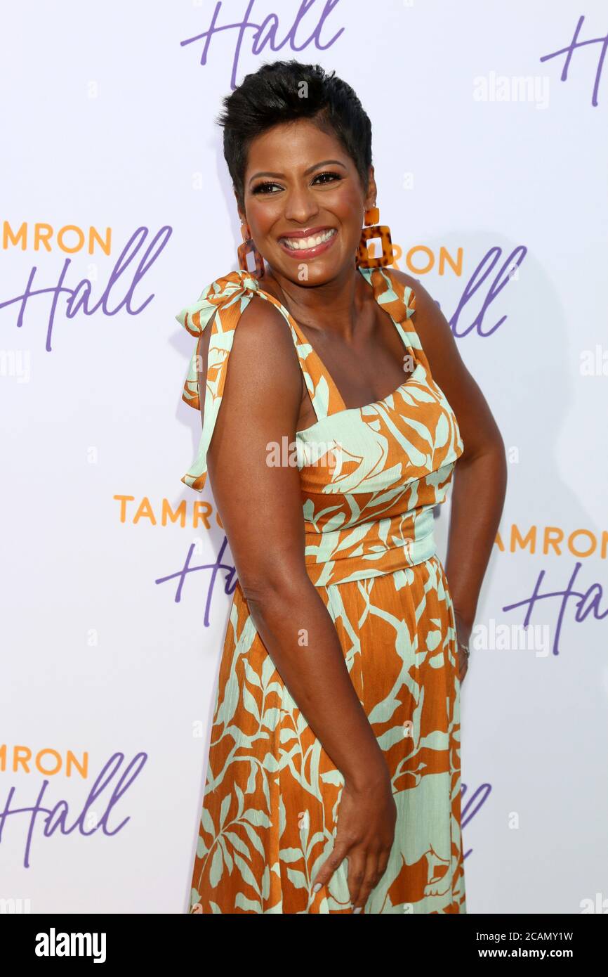 LOS ANGELES - AUG 15: Tamron Hall at the ABC Summer TCA All-Star Party ...