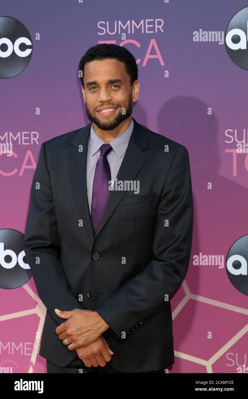 LOS ANGELES - AUG 15: Michael Ealy at the ABC Summer TCA All-Star Party ...