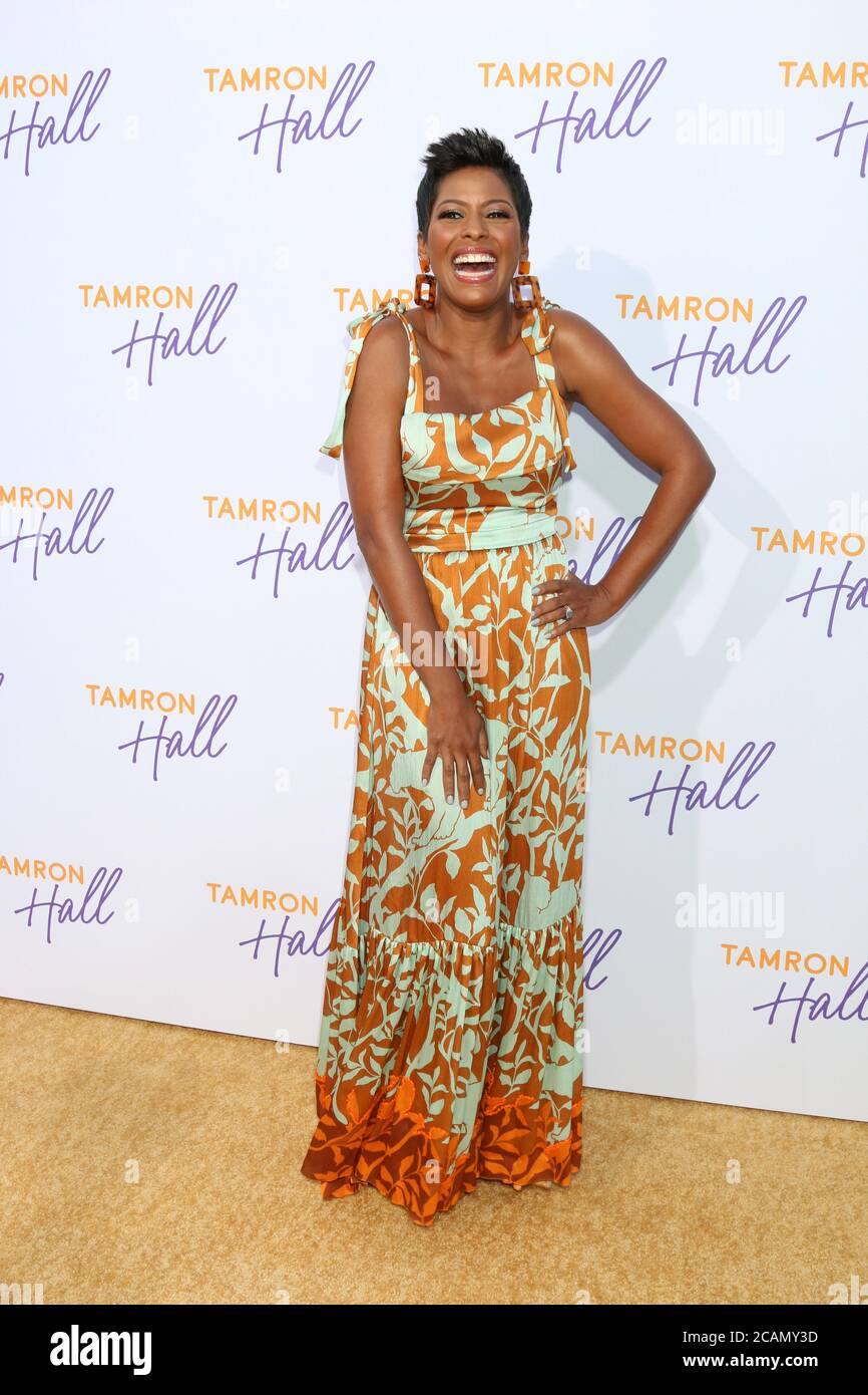 LOS ANGELES - AUG 15: Tamron Hall at the ABC Summer TCA All-Star Party ...