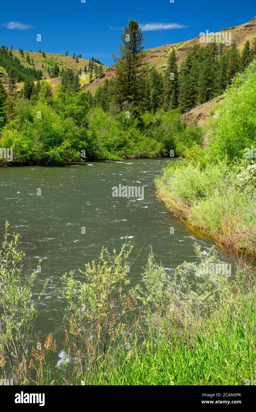 Wallowa River, Wallowa Lake Highway Forest State Scenic Corridor, Hells ...