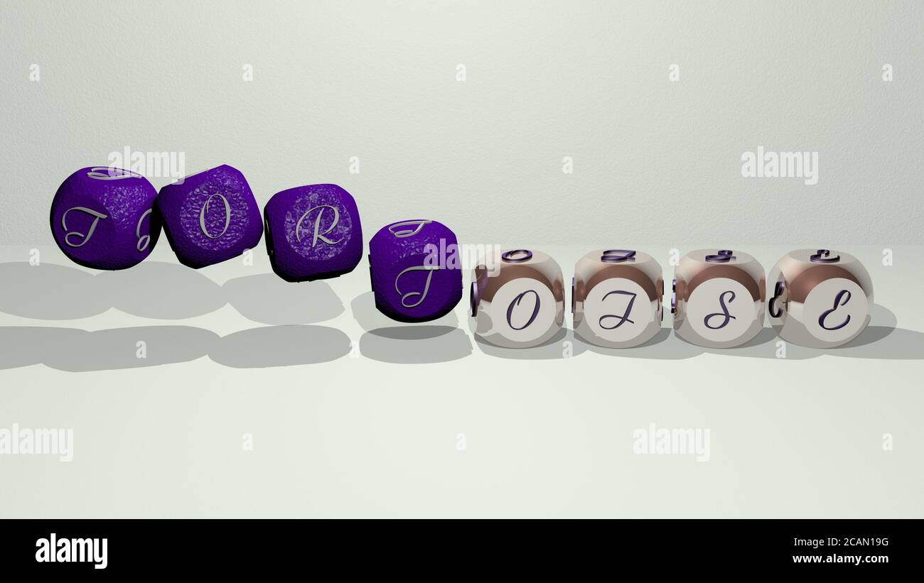 tortoise dancing cubic letters - 3D illustration for animal and turtle ...